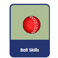 Teddy Cricket United Kingdom – Kids Cricket Lessons & Classes